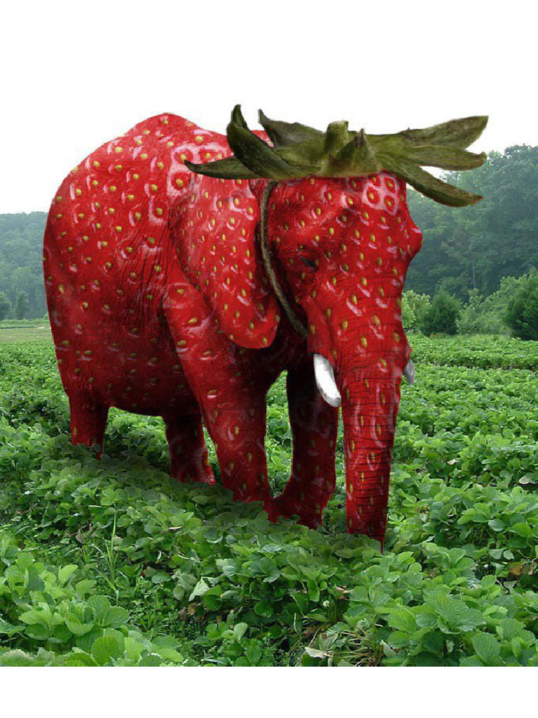 Elefante Maçã | PDF