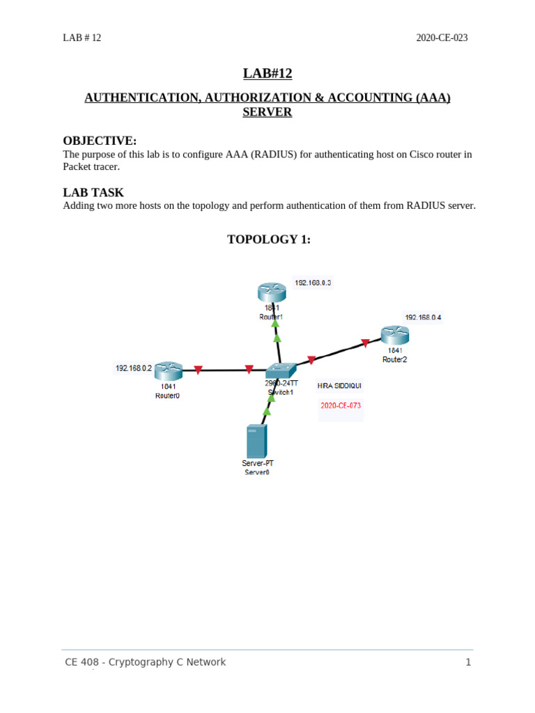 Lab 12 CNS Maaz | PDF