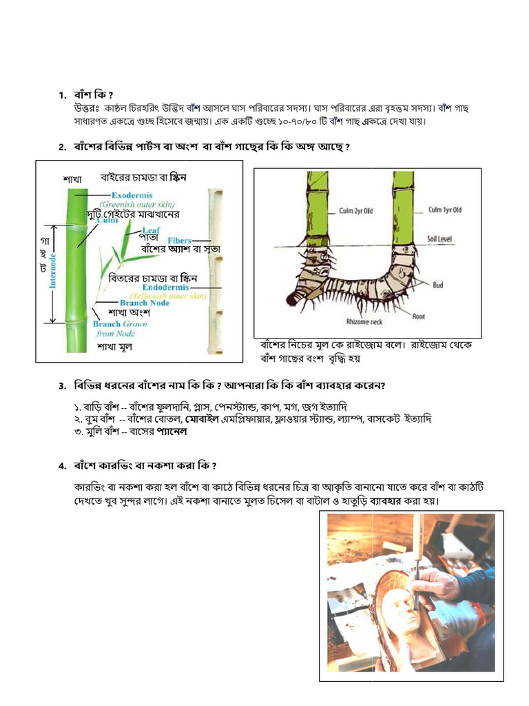 Samarth Question Paper1 | PDF