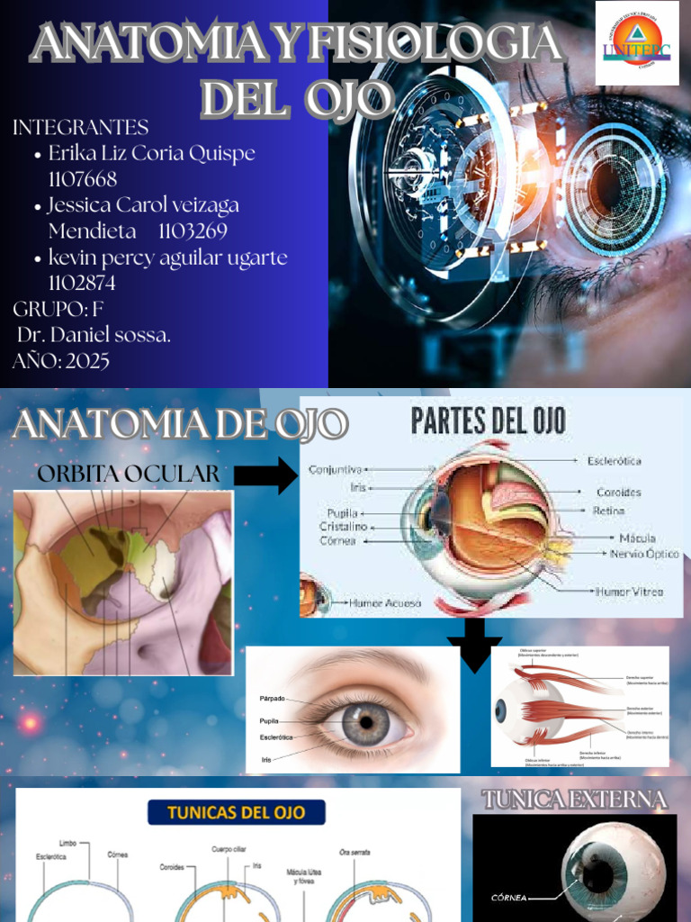 Anatomia y Fisiologia Oftalmo | PDF