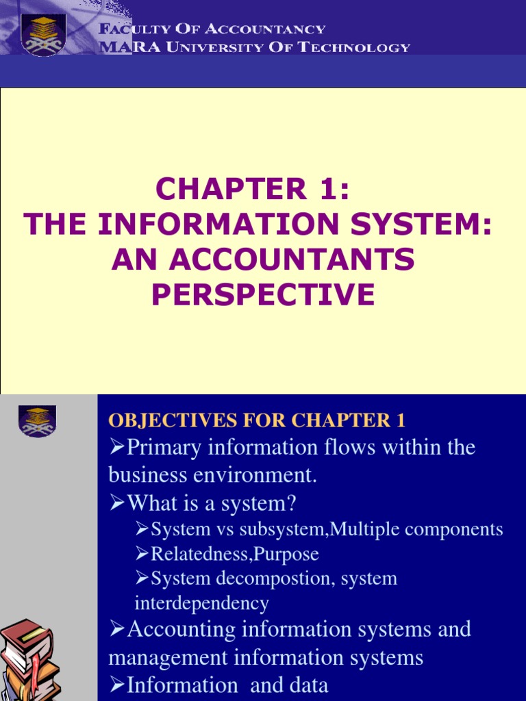 Understanding Accounting Information Systems | PDF