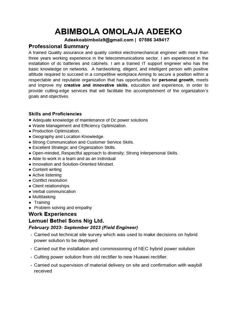 Abimbola Omolaja Adeeko: Professional Summary | PDF | Business