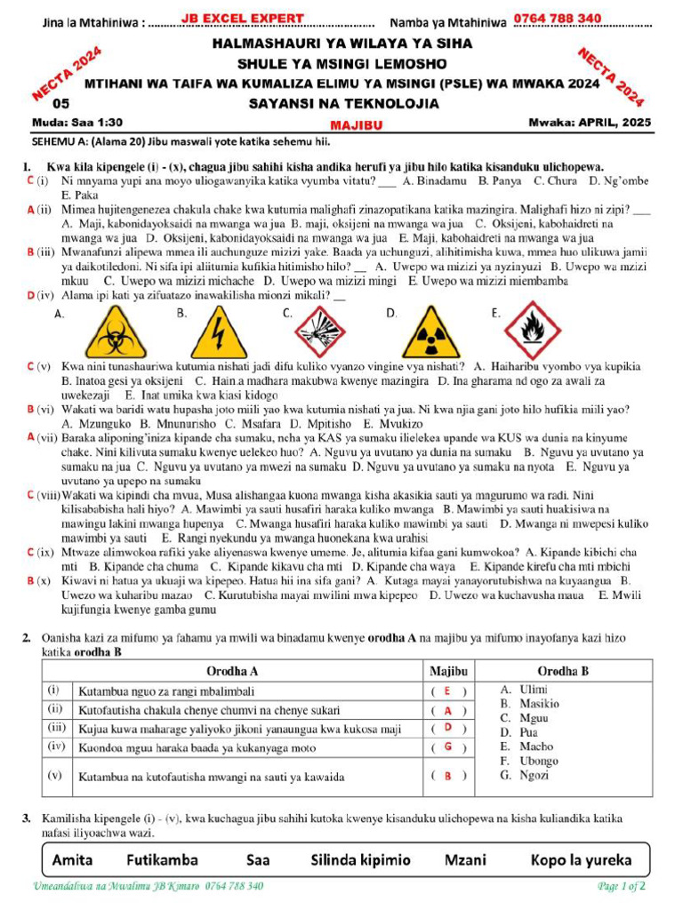 Sayansi Vii - Necta 2024 (Psle 2024) - JB | PDF