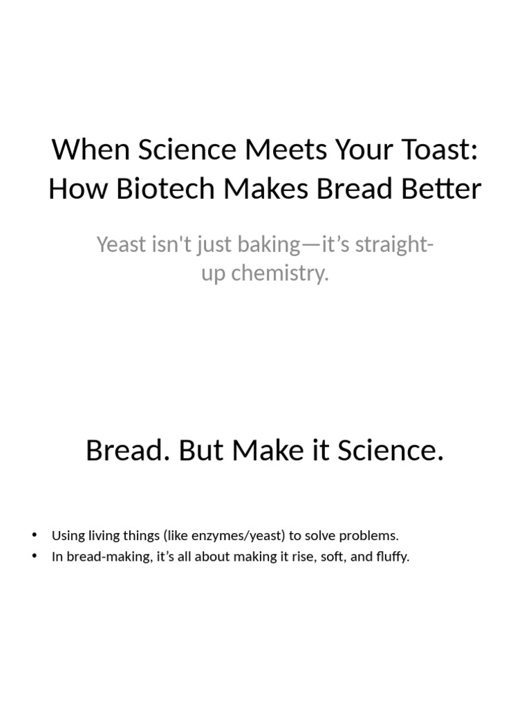 Biotech Bread Making Presentation | PDF