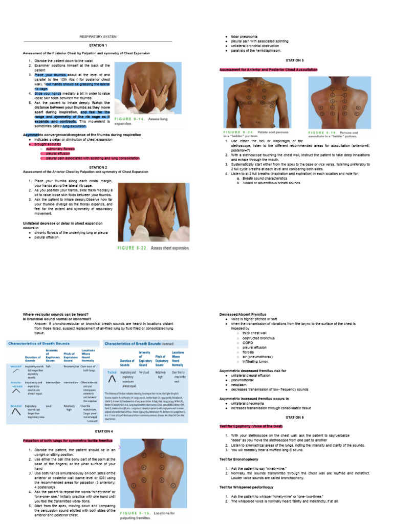 PDR-RESPIRATORY-SYSTEM-PRACTICAL-NOTES | PDF | Lung | Respiratory System