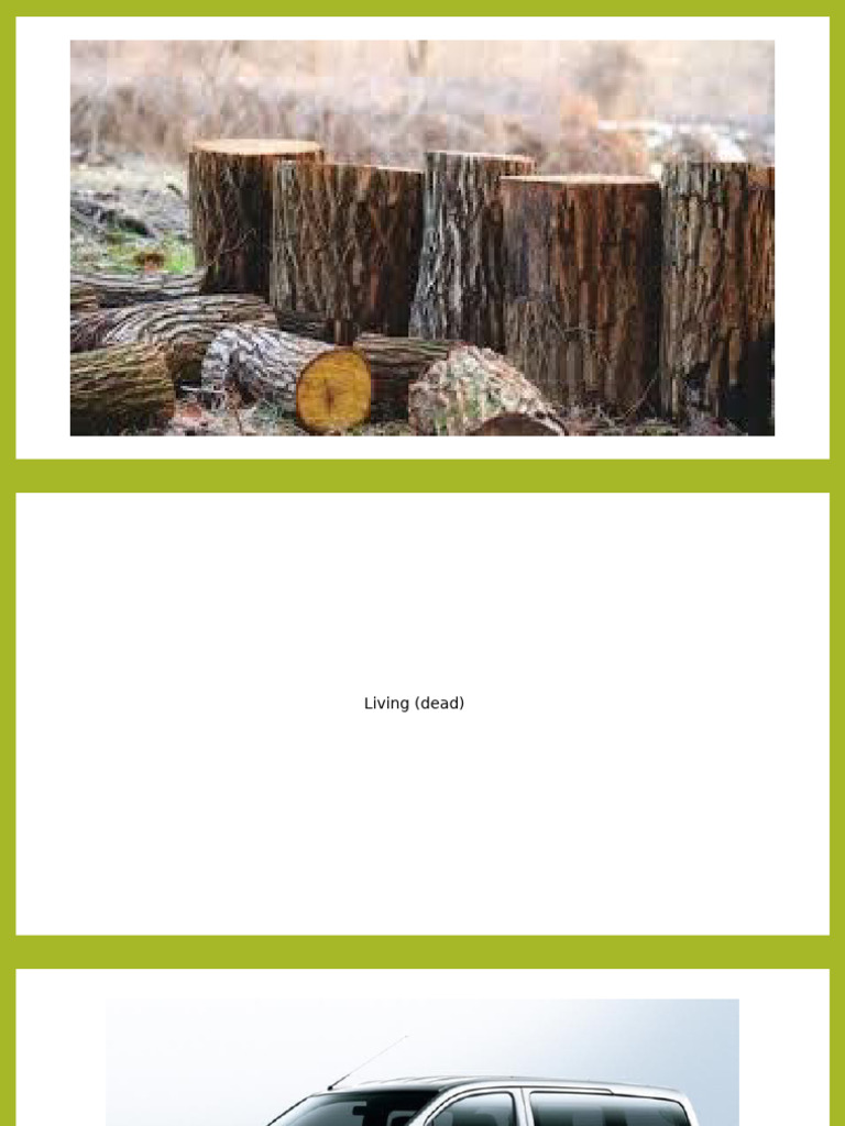 Biological drawings | PDF