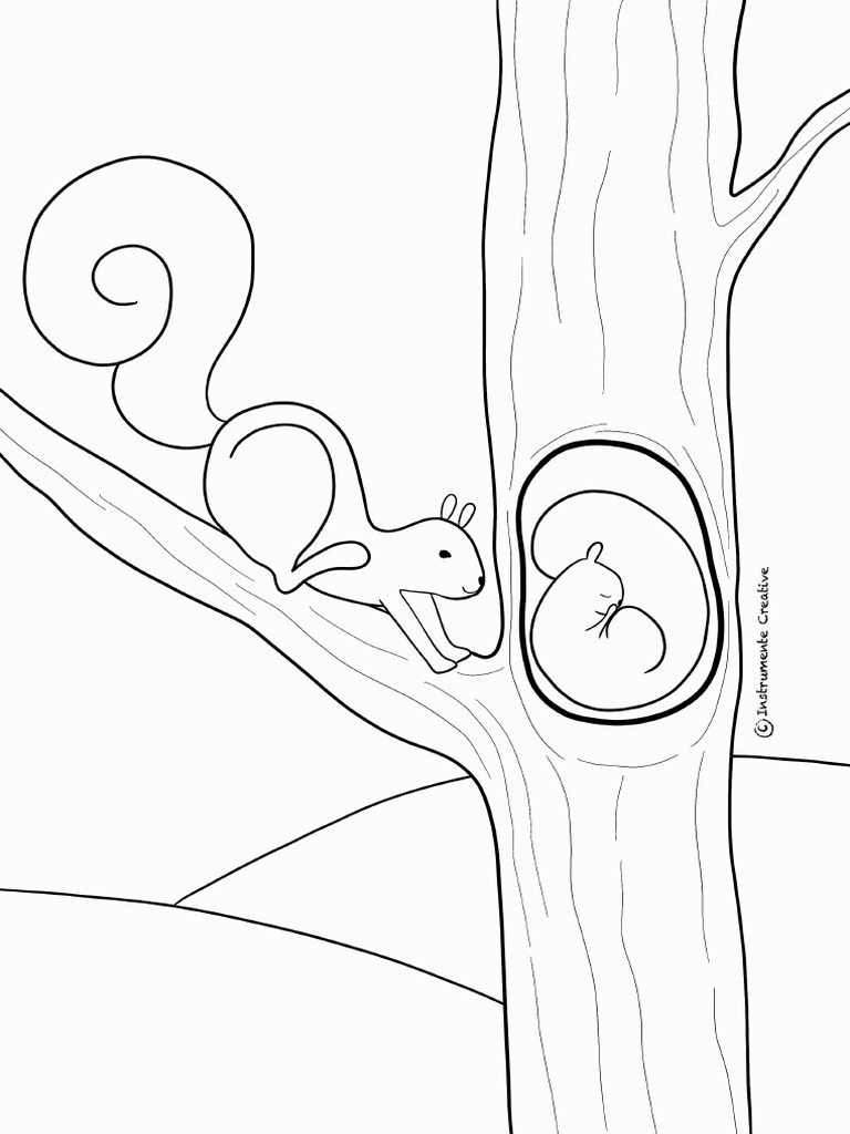 Fise Colorat - Padure Vevri A | PDF