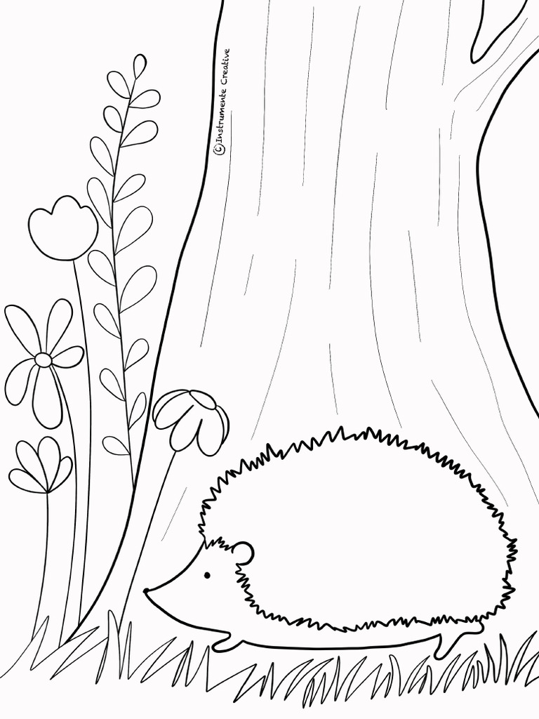 Fise_Colorat_-_Padure_Arici | PDF