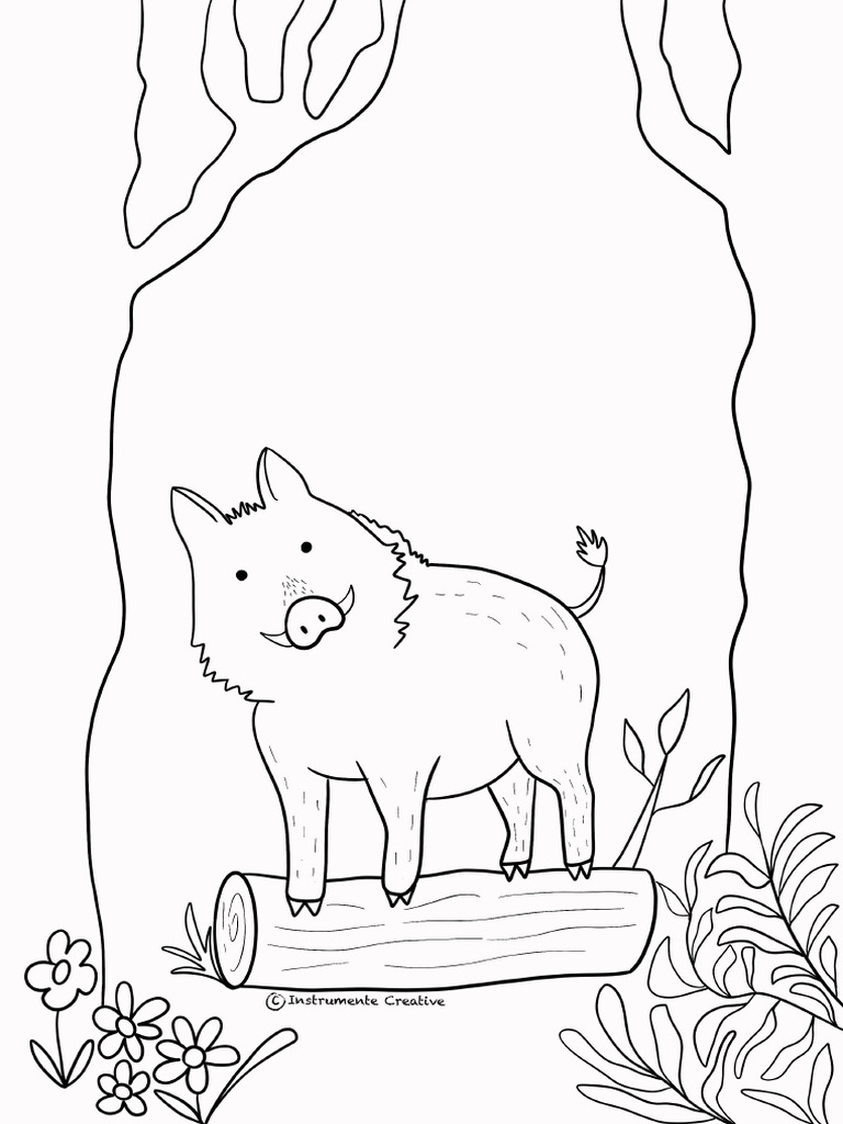 Fise Colorat - Padure Mistre | PDF