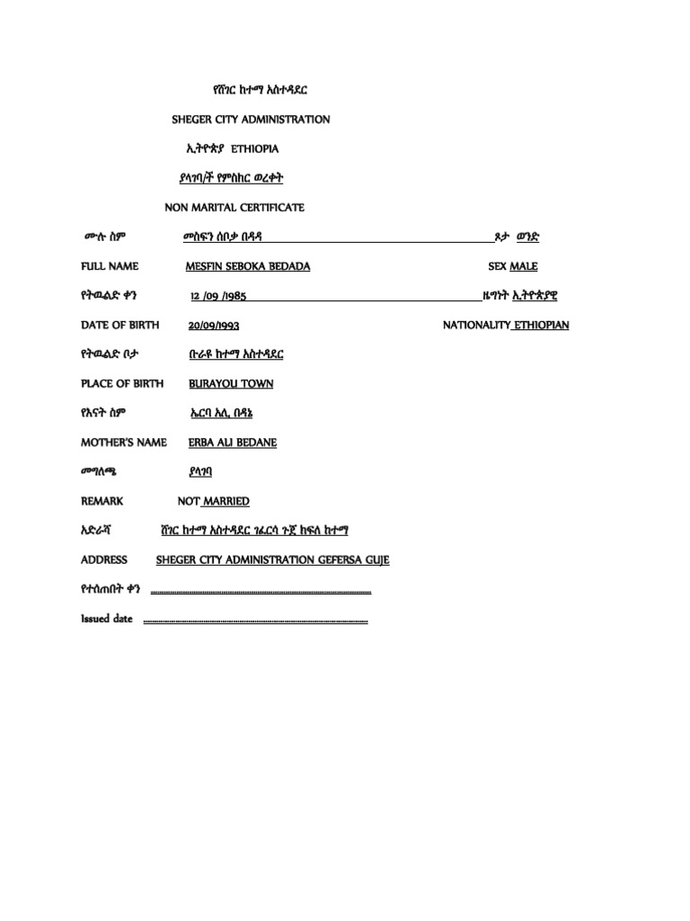 Sheger City Administration | PDF