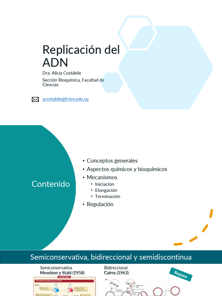 2025 Replicación | PDF | Adn | Replicación De Adn