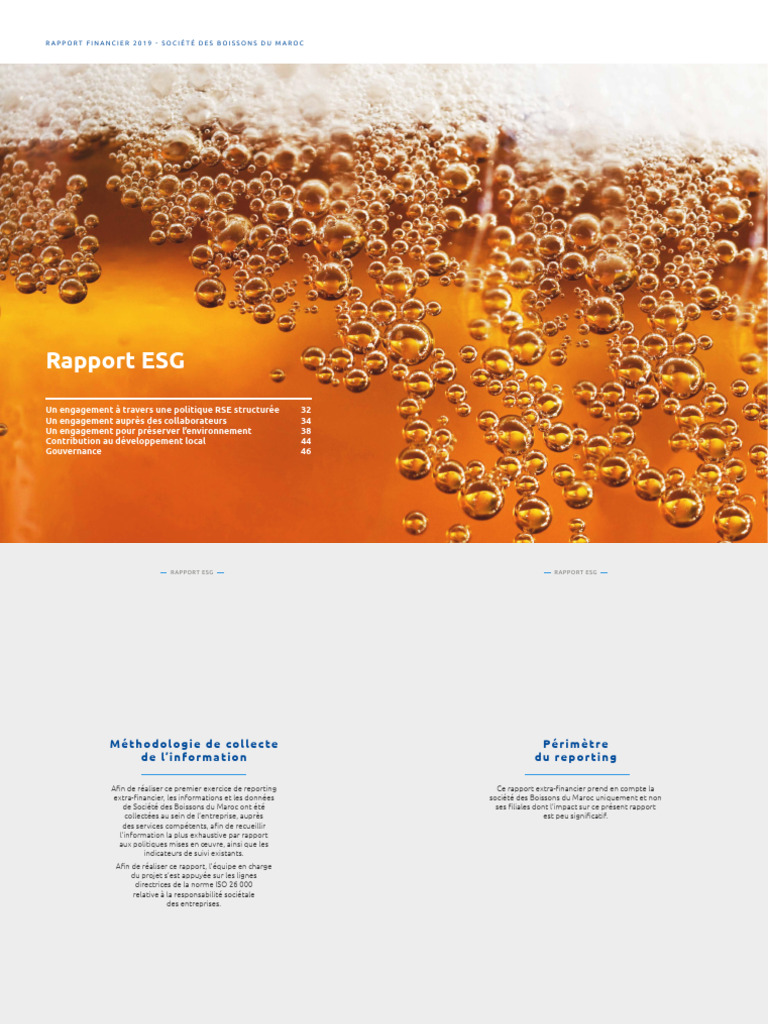 Rapport ESG SBM 2019 2 | PDF | Responsabilité sociétale des entreprises ...