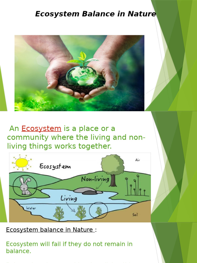 Ecosystem Balance in Nature | PDF