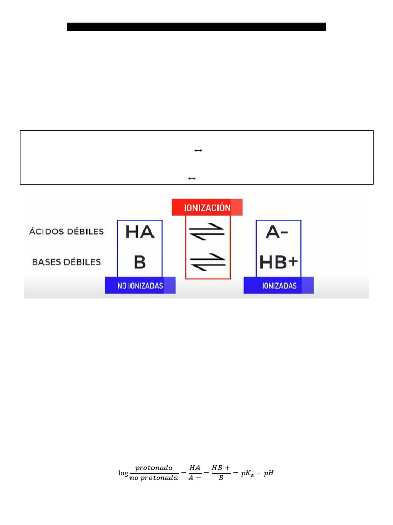 Fármaco Efecto Del PH en La Absorción de Ácidos y Bases Débiles | PDF ...