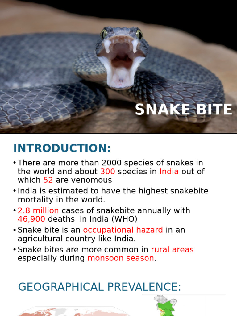 Snake Bite1 | PDF