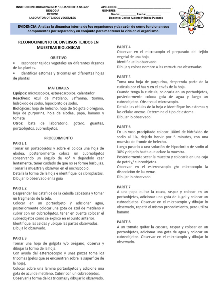 Labratorio Tejido Vegetal | PDF | Hoja | Tejido (biología)