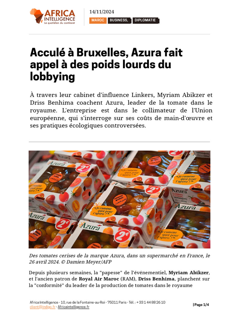 20241114 Africa Intelligence | PDF | Tchad | Maroc