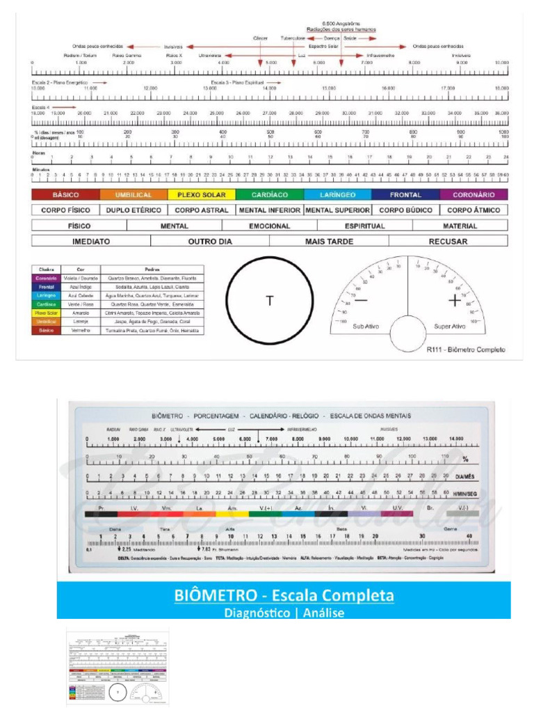 Biometro - Prancha | PDF