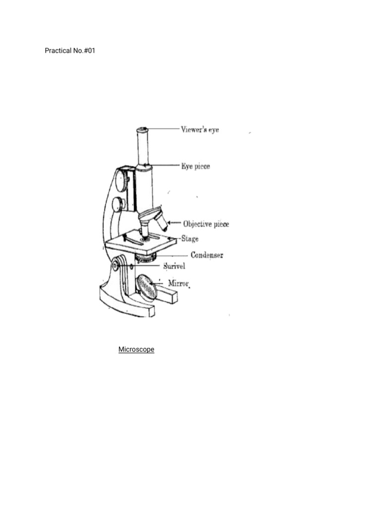 Microscope and Flower Dissection Guide | PDF