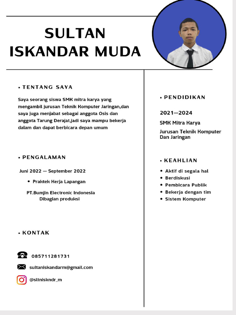 PDF - CV Sultan Im | PDF