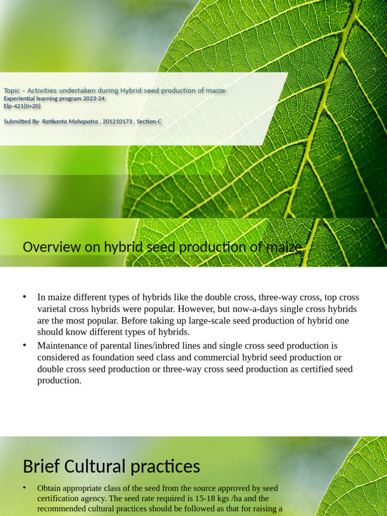 Ratikanta Mohapatra ELP | PDF | Sowing | Plants