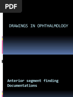 Fundus Diagram Drawing Guide | PDF | Retina | Human Eye