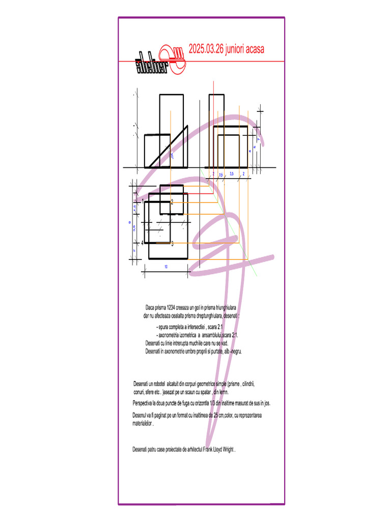 2025.03.26 Juniori Acasa Model | PDF