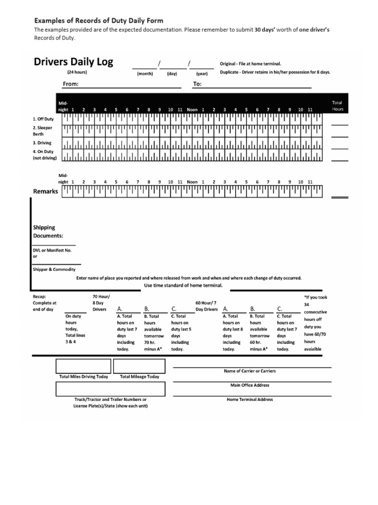 Daily Drivers Log | PDF
