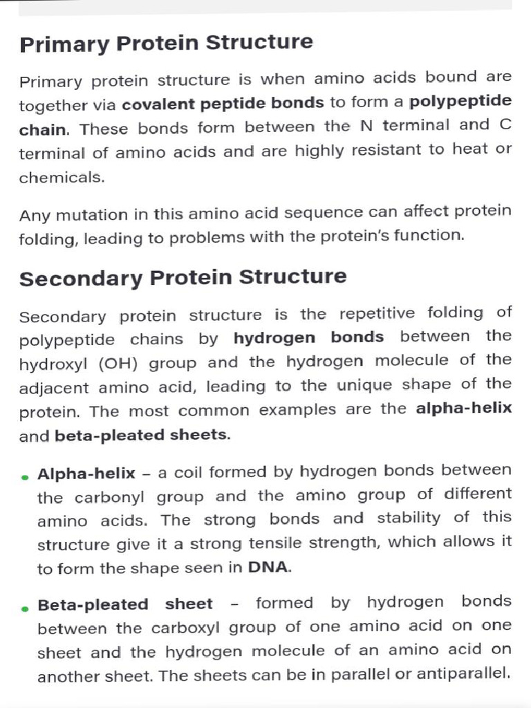 Protein Structure Levels | PDF | Protein Structure | Proteins
