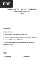 Syndrome de la Jonction Pyelo-Uréterale | PDF | Rein | Spécialités ...
