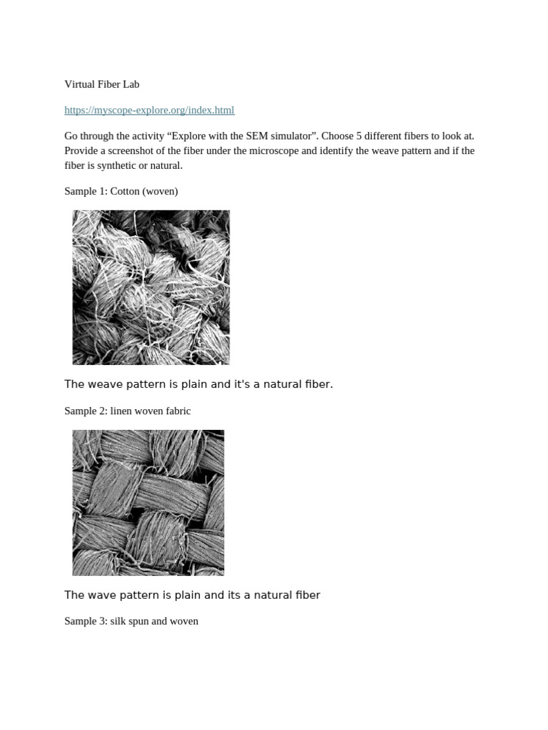 Virtual Fiber Lab Httpsmyscope-Explore | PDF