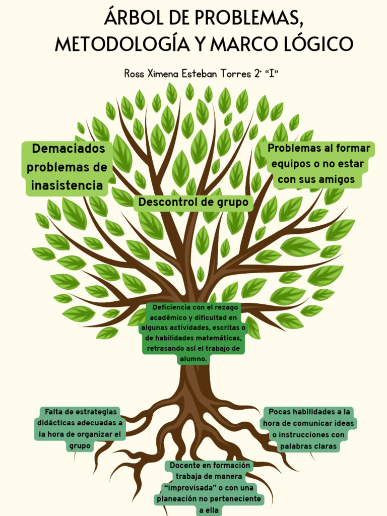 Parts of A Tree Science Labeling Worksheet PDF | PDF