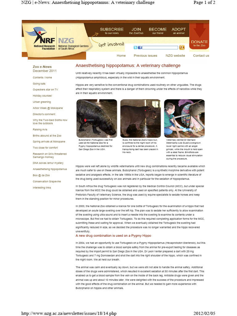 2010-02-nzg.ac.za- newsletter-Anaesthetising hippopotamus_ A veterinary challenge | PDF ...