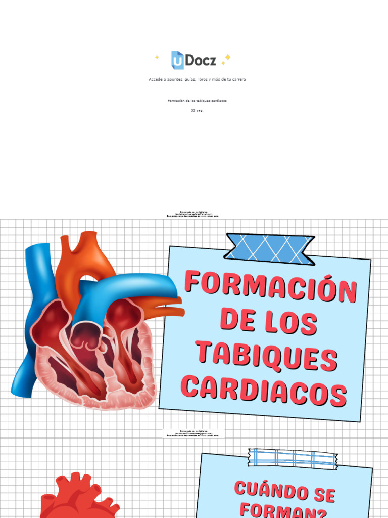 Formacion de Los Tab 1368808 Downloadable 7316737 | PDF | Corazón | Aorta