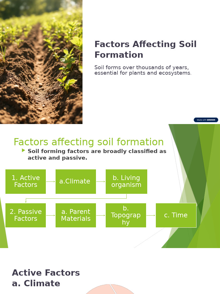 Factors Affecting Soil Formation | PDF | Soil | Erosion