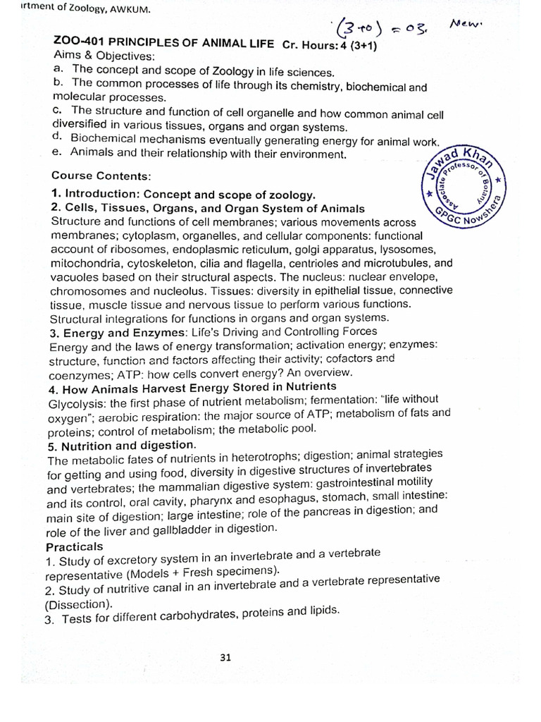 Principles of Animal Life. Course Contents | PDF