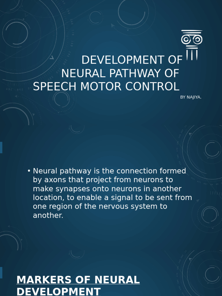 D) Development of Pathway of Speech Motor Control | PDF | Neuron | Dendrite