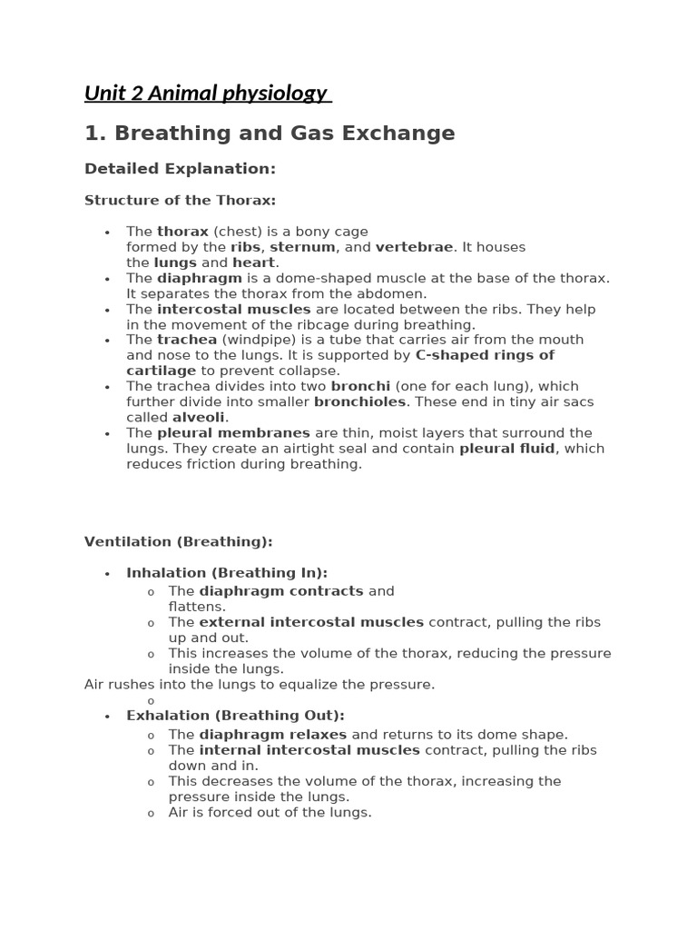Unit 2 Animal Physiology | PDF | Digestion | Lung