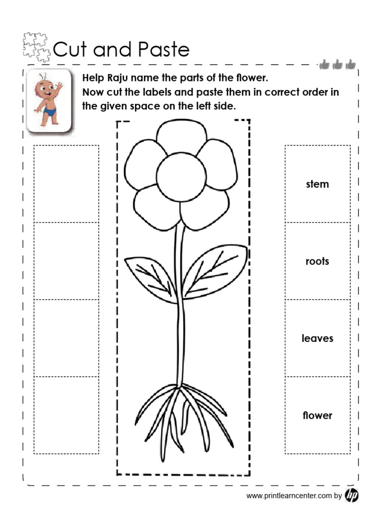 1 5 6 Science Plants Parts of The Flower | PDF