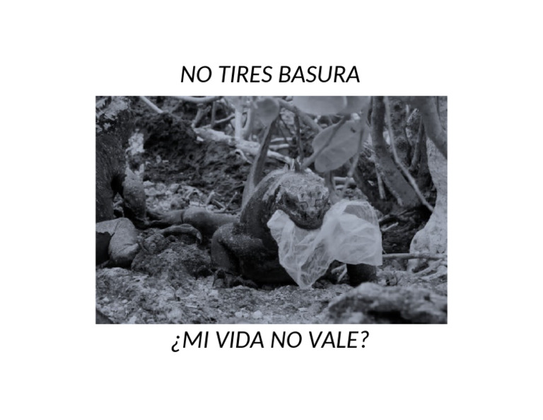 No Tires Basura | PDF