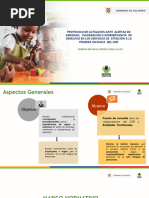 Ruta de Atención y Actuación Ante El Icbf 2025 | PDF