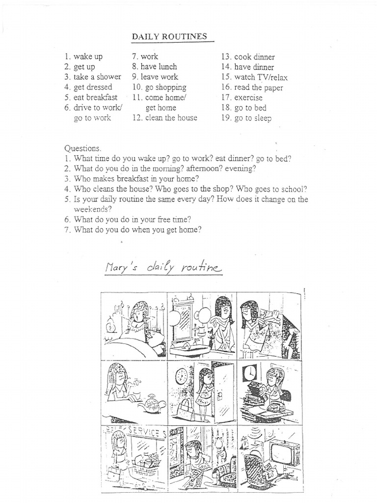 Daily Routine | PDF
