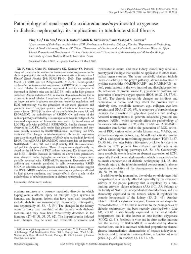 MIOX and Diabetic Nephropathy 2 | PDF | Lactate Dehydrogenase | Gene ...