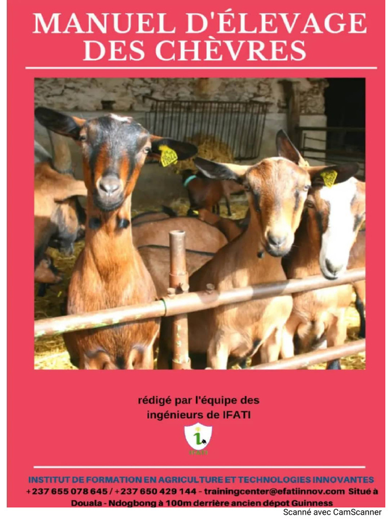 Manuel D'élevage Des Chèvres | PDF