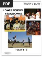 Bachelor Degree in Education Intermediate Phase 90103 CURRICULUM | PDF ...