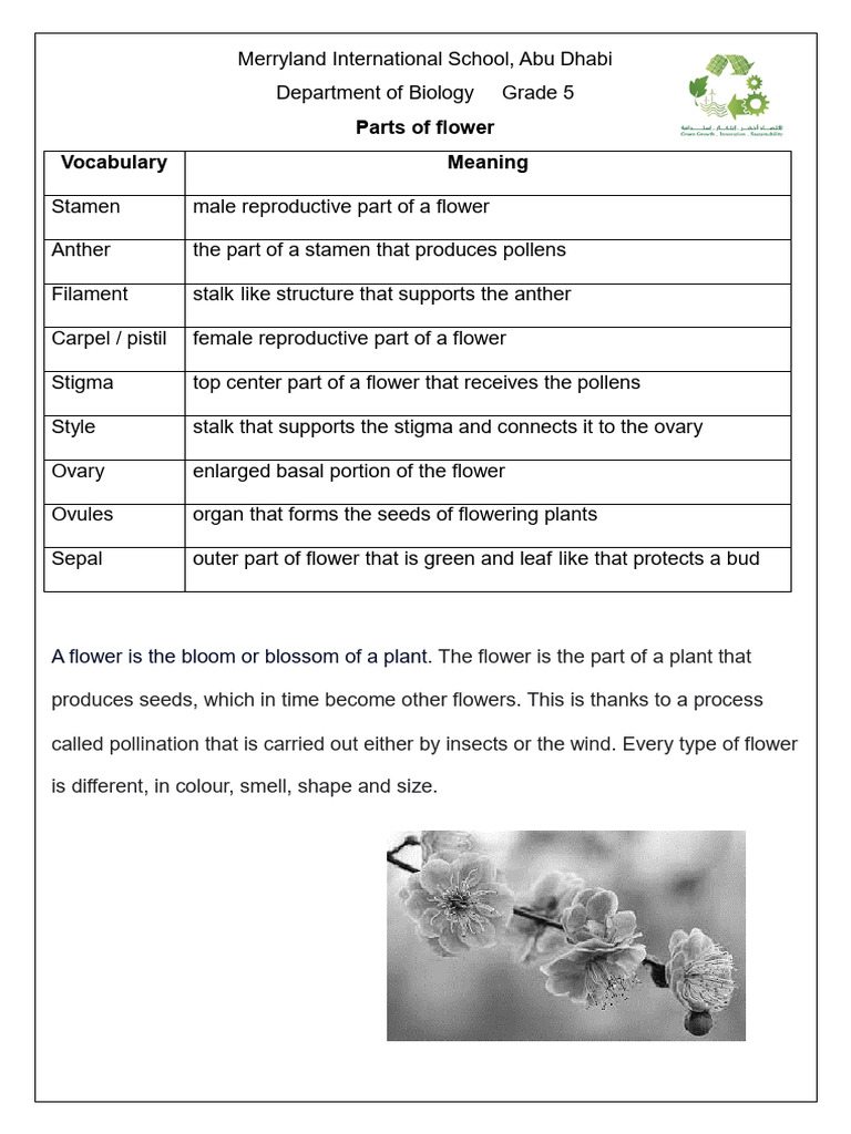 Parts of a Flower and Pollination Guide | PDF