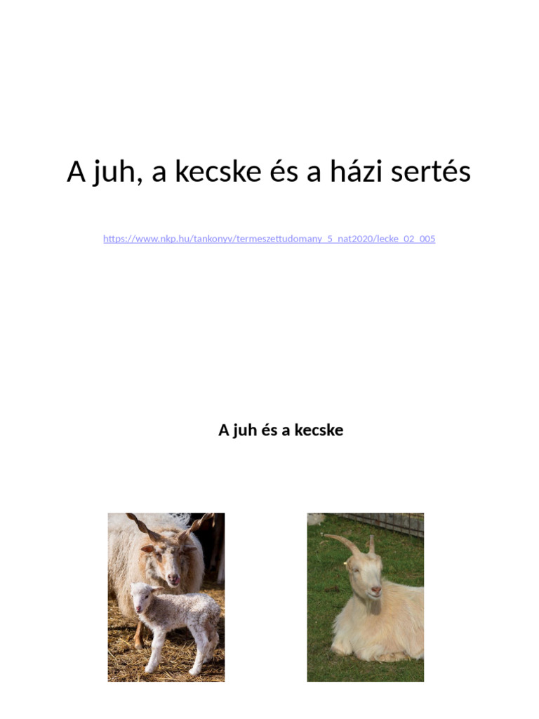 A juh, a kecske és a házi | PDF
