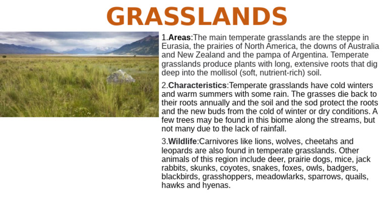 Temperate Grasslands | PDF