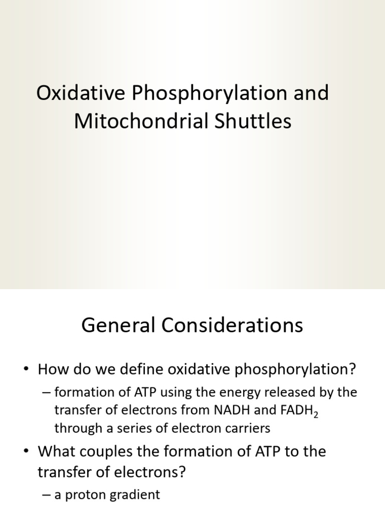 Oxidative Phosphorylation Overview | PDF | Adenosine Triphosphate ...