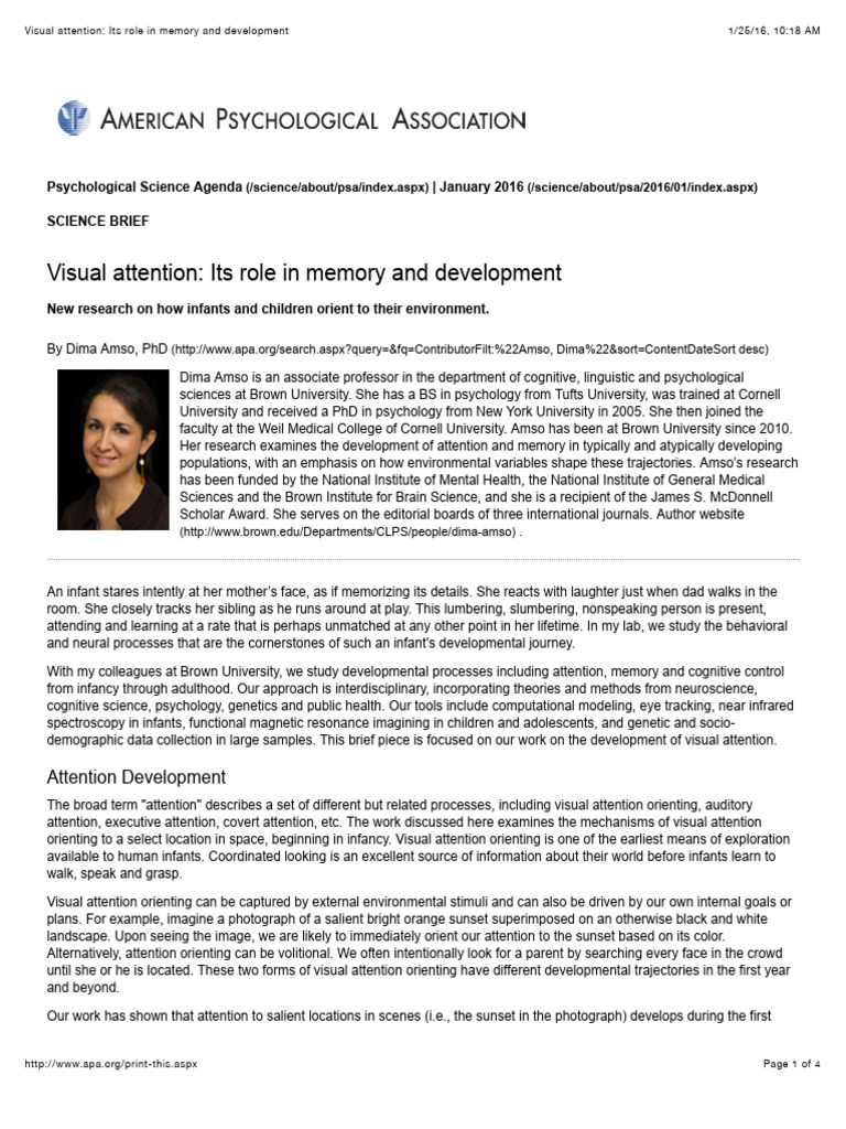 Visual Attention Its Role in Memory and Development | PDF | Attention ...